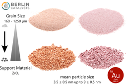 Shop | BC Berlin Catalysts